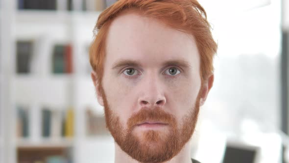 Face of Serious Casual Redhead Man, Stock Footage | VideoHive
