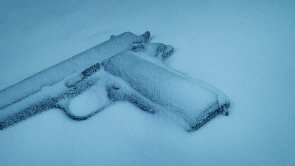 Gun Covered In Snow, Stock Footage | VideoHive