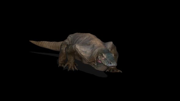 Giant Lizard Walk 1, Motion Graphics | VideoHive