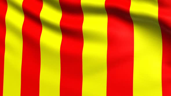 Auto Racing Oil Flag, Motion Graphics | VideoHive