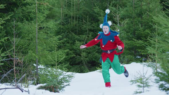Christmas elf running and jumping, Stock Footage | VideoHive