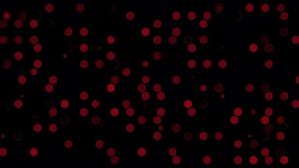 Hexagon Red Light Animation, Motion Graphics | VideoHive