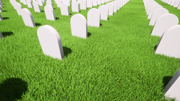 American Grave Green Grass on Green Background, Motion Graphics | VideoHive