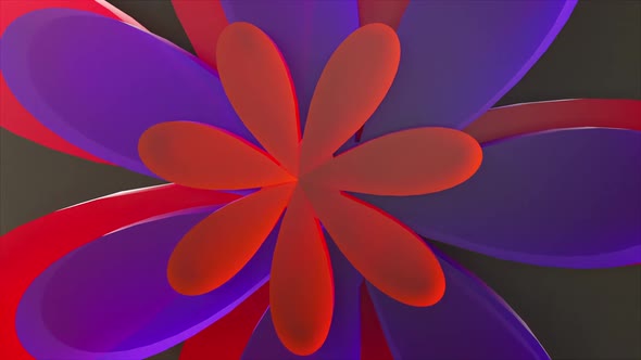Glossy Blooming Flower, Motion Graphics | VideoHive
