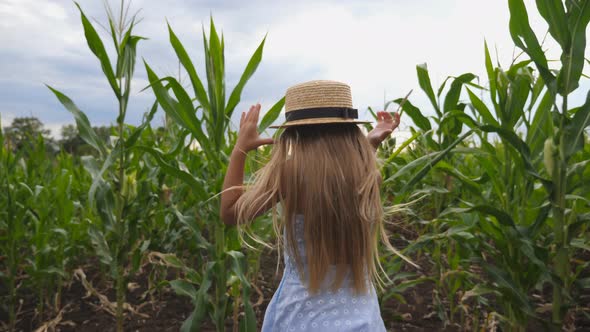 Happy Small Kid with Long Blonde Hair Running Through Corn Field ...
