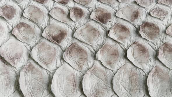 White Snake Leather Closeup Production of Handmade Accessories Made of ...