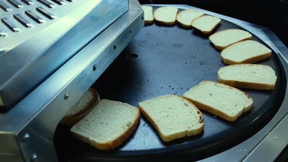Industrial Large And Multiple Electric Toaster Toaster, Stock Footage