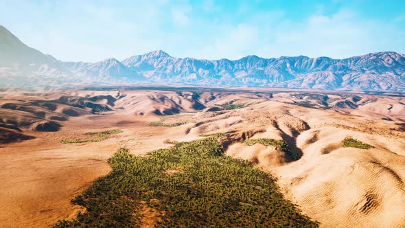 Wide View of California Desert, Motion Graphics | VideoHive
