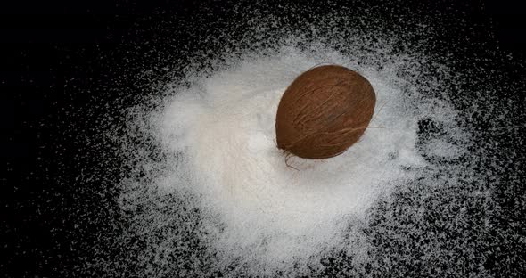 Coconut, cocos nucifera, Fruit and Powder Exploding against Black ...