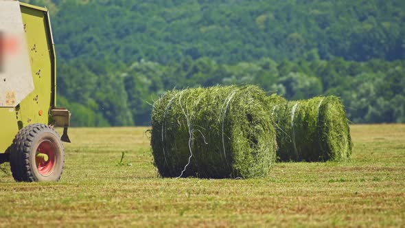 Big round bales of green grass on the forest background, Stock Footage