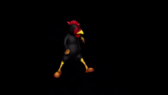 Cartoon Rooster Dance 7, Motion Graphics | VideoHive