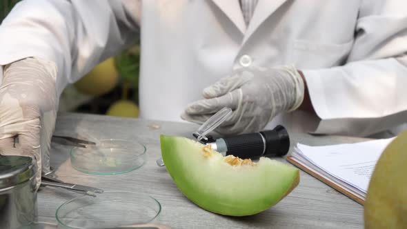 Agricultural Research Scientist Using Brix Refractometer Sweet Test ...