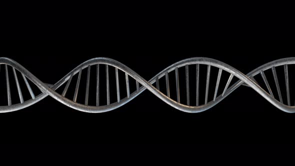 DNA Rotating, Motion Graphics | VideoHive