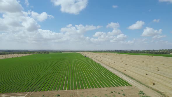 Straw Fields At Sdot Negev Settlement's, Israel, Stock Footage | VideoHive
