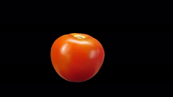 Realistic Tomato Rotating With Alpha Channel, Stock Footage | VideoHive