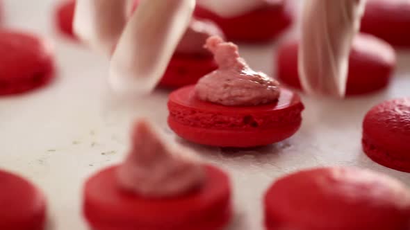 Making Red Macaroons, Stock Footage | VideoHive