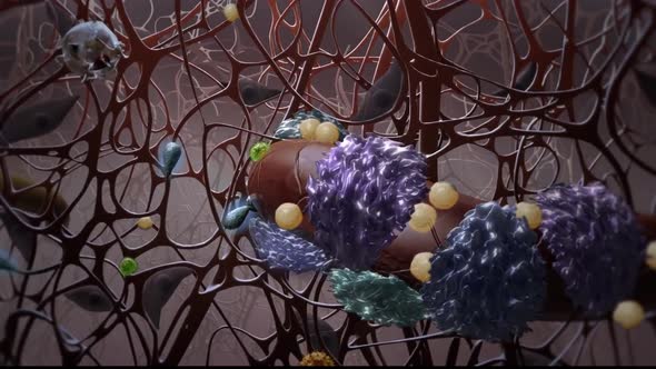 3D Microbiology Animated cells that protect the immune system, Motion ...