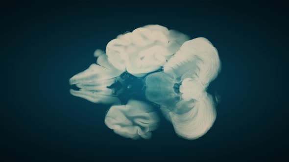 Brain Pack, Motion Graphics | VideoHive