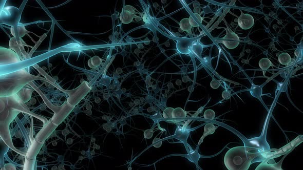 Neuronal Cell Zoom In, Motion Graphics | VideoHive
