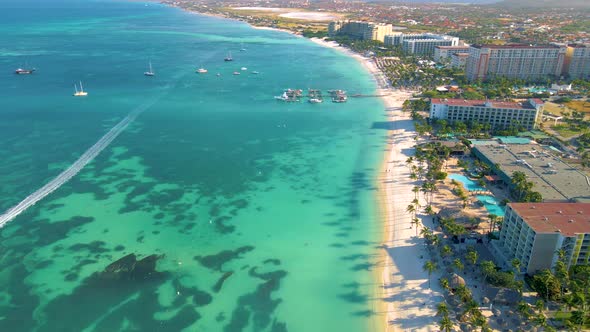 Palm Beach Aruba Amazing Tropical Beach with Palm Tree Entering the ...
