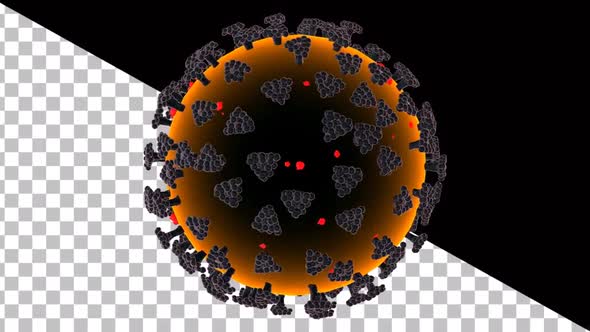 Covid 19 With Alpha, Motion Graphics | VideoHive