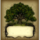 Oak Tree wih a Banner, Vectors | GraphicRiver