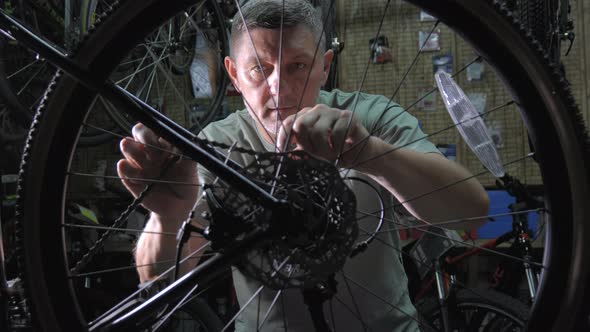 Service Engineer Performs Diagnostics and Repairs of Bicycle in ...