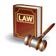 Legal Practice Icon, Vectors | GraphicRiver