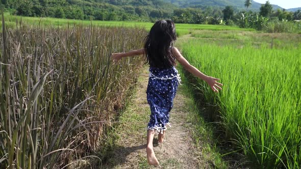 Girl Running In Rice Field, Stock Footage | VideoHive