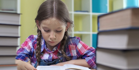 Absorbed in Reading, Stock Footage | VideoHive