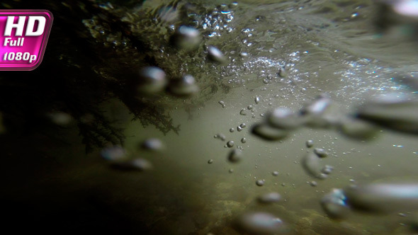 Simulating the Vision of Fish, Stock Footage | VideoHive