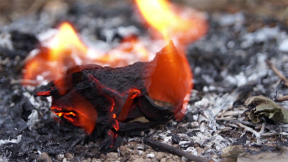 Folded Paper Towel on Fire, Stock Footage | VideoHive