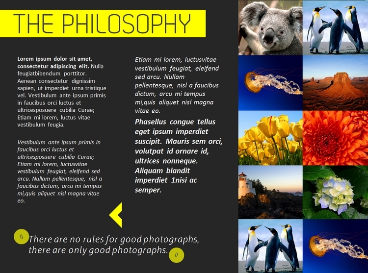 Showcase PowerPoint Presentation, Presentation Templates | GraphicRiver