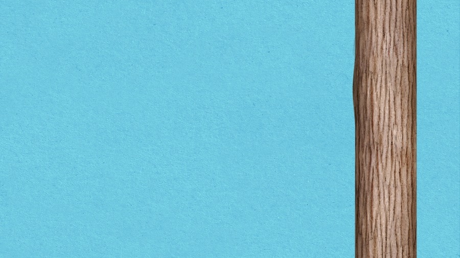 Tree Story Keynote by Flashbackstudio | GraphicRiver