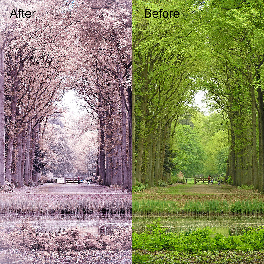 6 Lightroom Color Effect , Add-ons | GraphicRiver