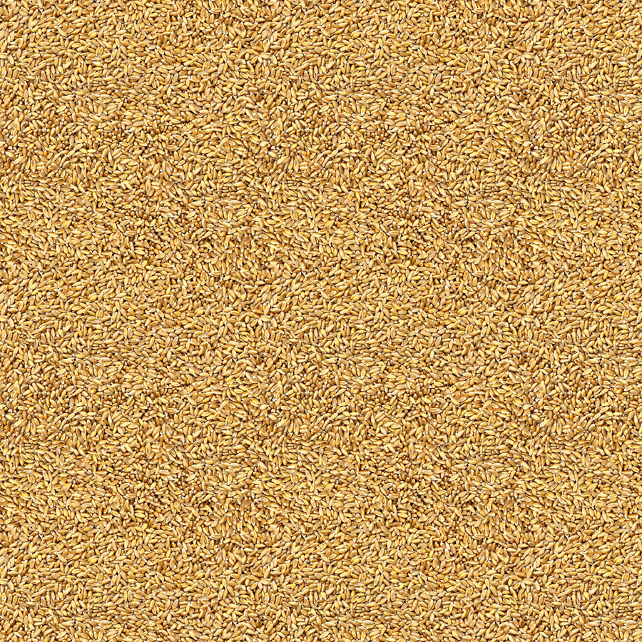 Groats Grains Patterns, Add-ons | GraphicRiver