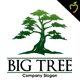 Big Tree Logo, Logo Templates | GraphicRiver