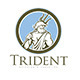 Trident Shipping and Logistics Logo, Logo Templates | GraphicRiver