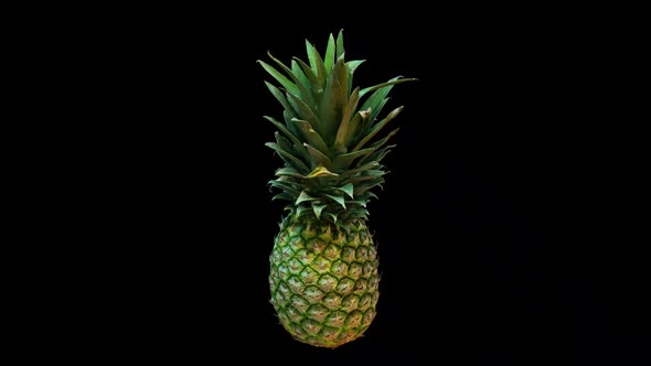 Spinning 3D Pineapple, Motion Graphics | VideoHive