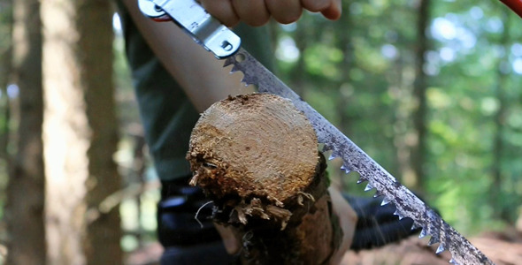 Cutting Tree With Hand Saw In Forest by QuadraphonixAssociation-Music