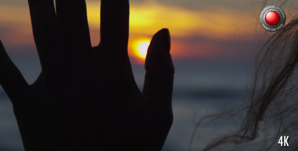 Waving, Stock Footage | VideoHive