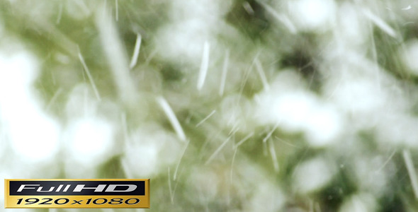 Snow Falling Rapidly | Full HD, Stock Footage | VideoHive