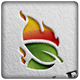 Green Fire Logo, Logo Templates | GraphicRiver