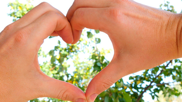 Hands Join Together To Make A Heart Shape, Stock Footage | VideoHive