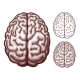 Brain Top View, Vectors | GraphicRiver