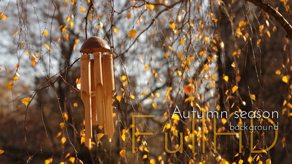 Autumn Wind Chimes, Stock Footage | VideoHive