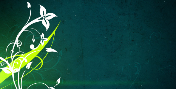 Vector flowers 3 loop, Motion Graphics | VideoHive