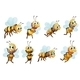 Eight Bees in different Positions, Vectors | GraphicRiver