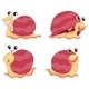 Four Snails, Vectors | GraphicRiver
