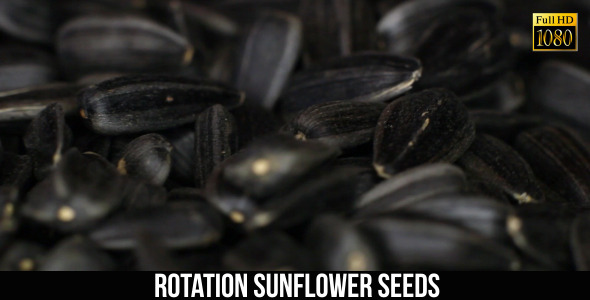 Rotation Sunflower Seeds 3, Stock Footage | VideoHive
